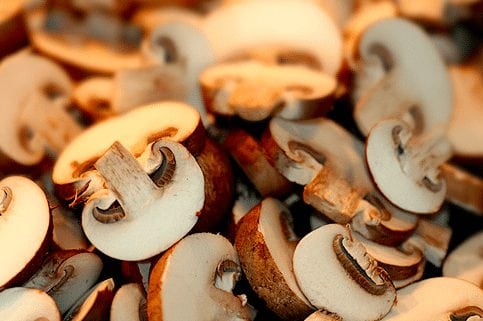 Därför är svamp ett smart val i din kost | Swedish Paleo