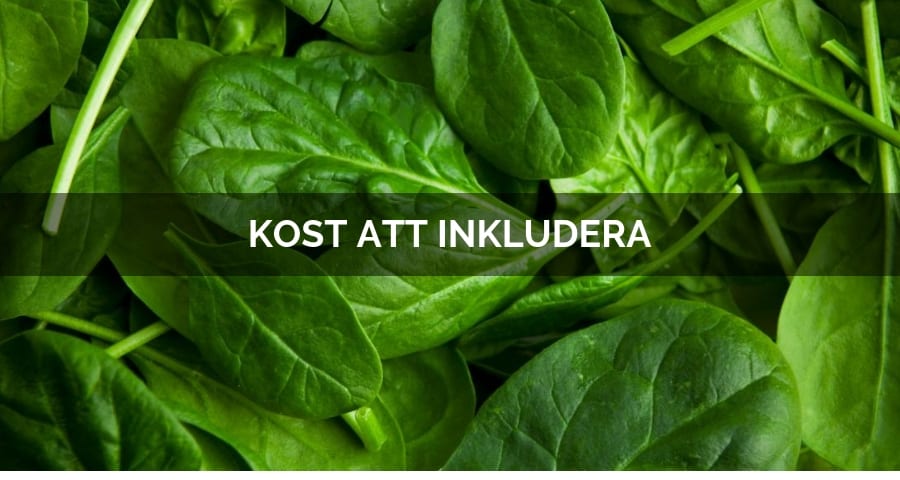 Lista på kost att inkludera (AIP) | Swedish Paleo Lista på kost att inkludera (AIP) | Swedish Paleo