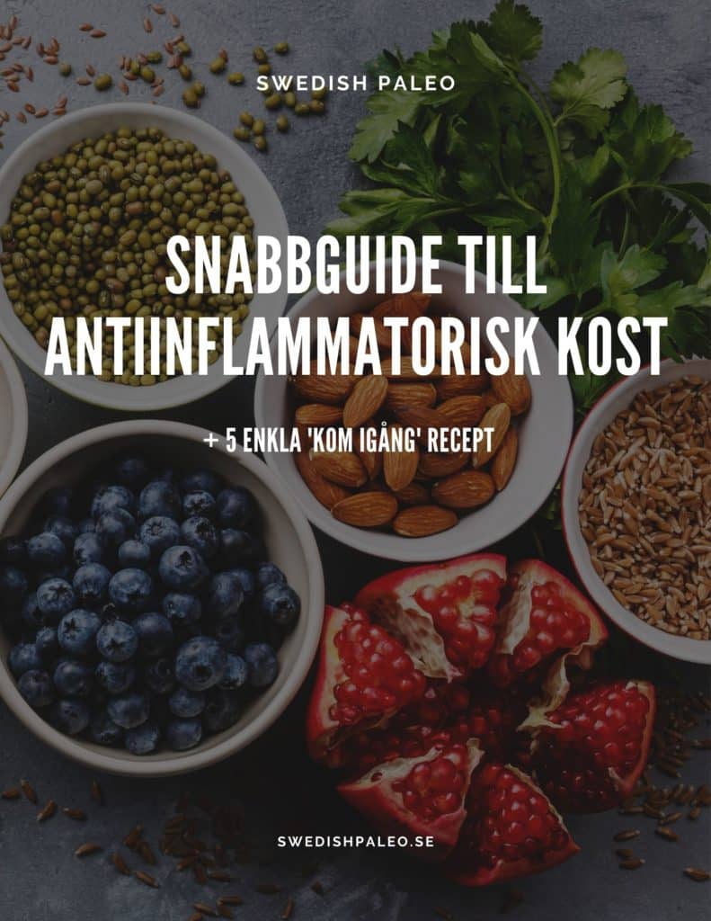 E-bok: Snabbguide till antiinflammatorisk kost | Swedish Paleo