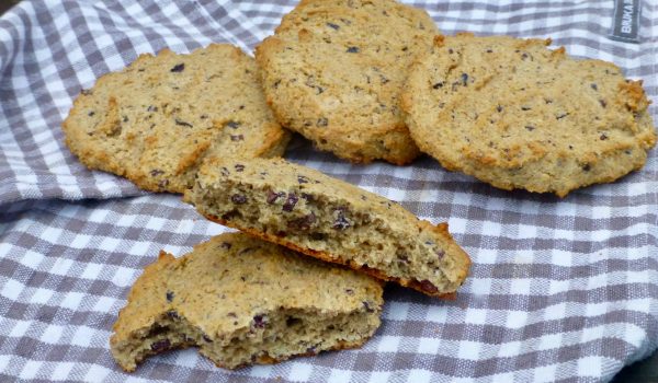 Media (AIP/Paleo) | Swedish Paleo